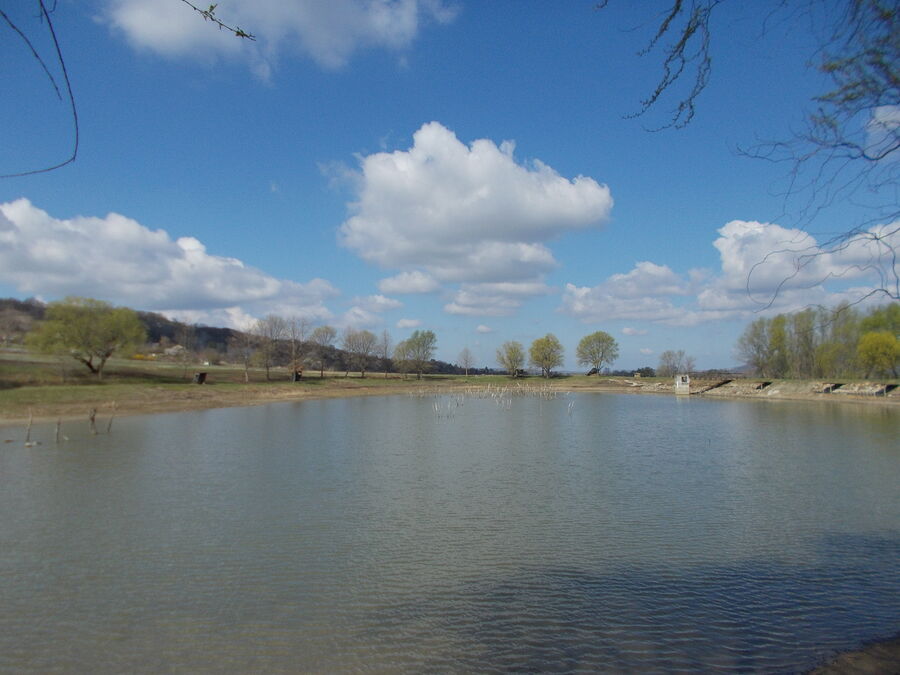 Dédai-tó (Pajkaszegi-halastó)